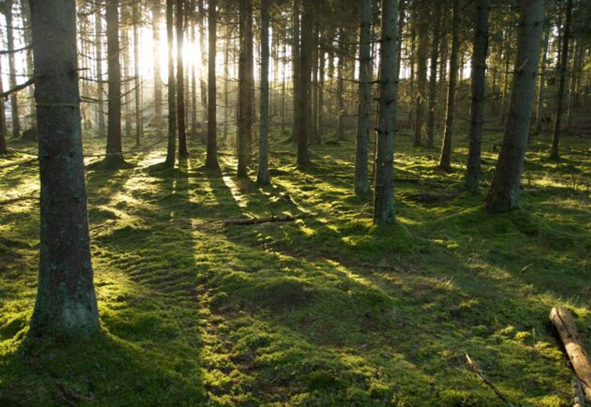 Gård till salu på Sätergården, Lysvik, Sunne - Booli.se